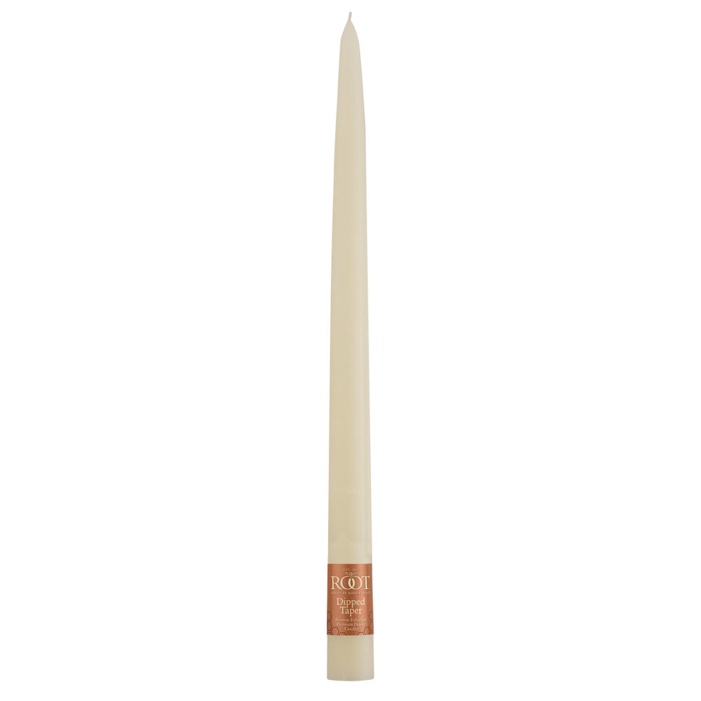 Root Dipped Taper - 12" Ivory — Bird in Hand