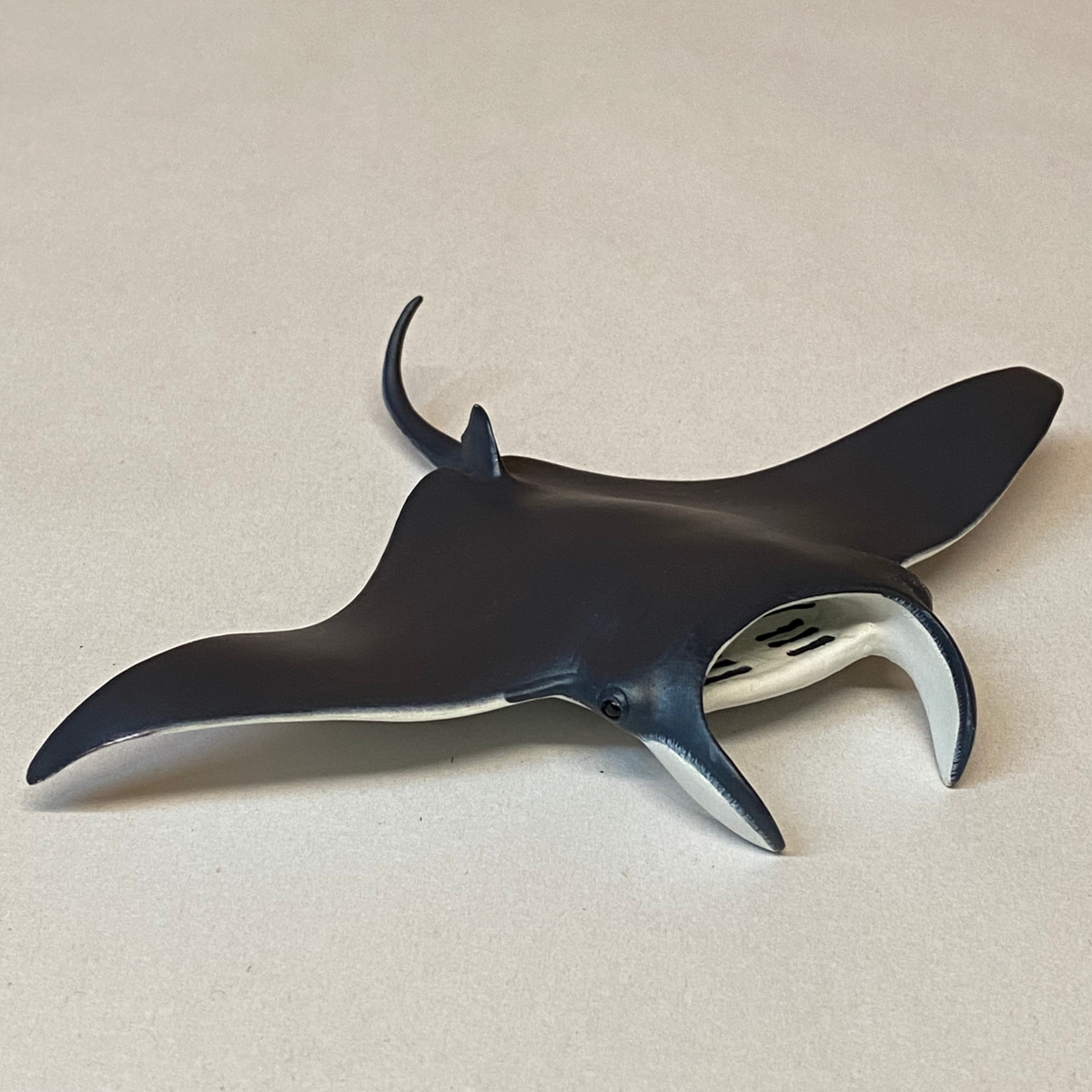 PAPO SEA MANTA RAY — Bird in Hand