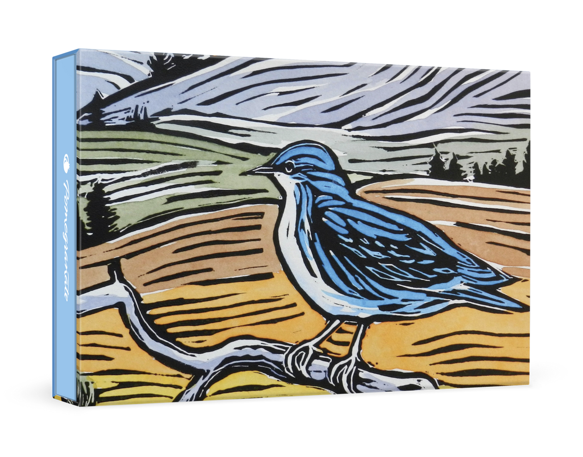 Molly Hashimoto Mountain Bluebird - Boxed Note Cards — Bird in Hand